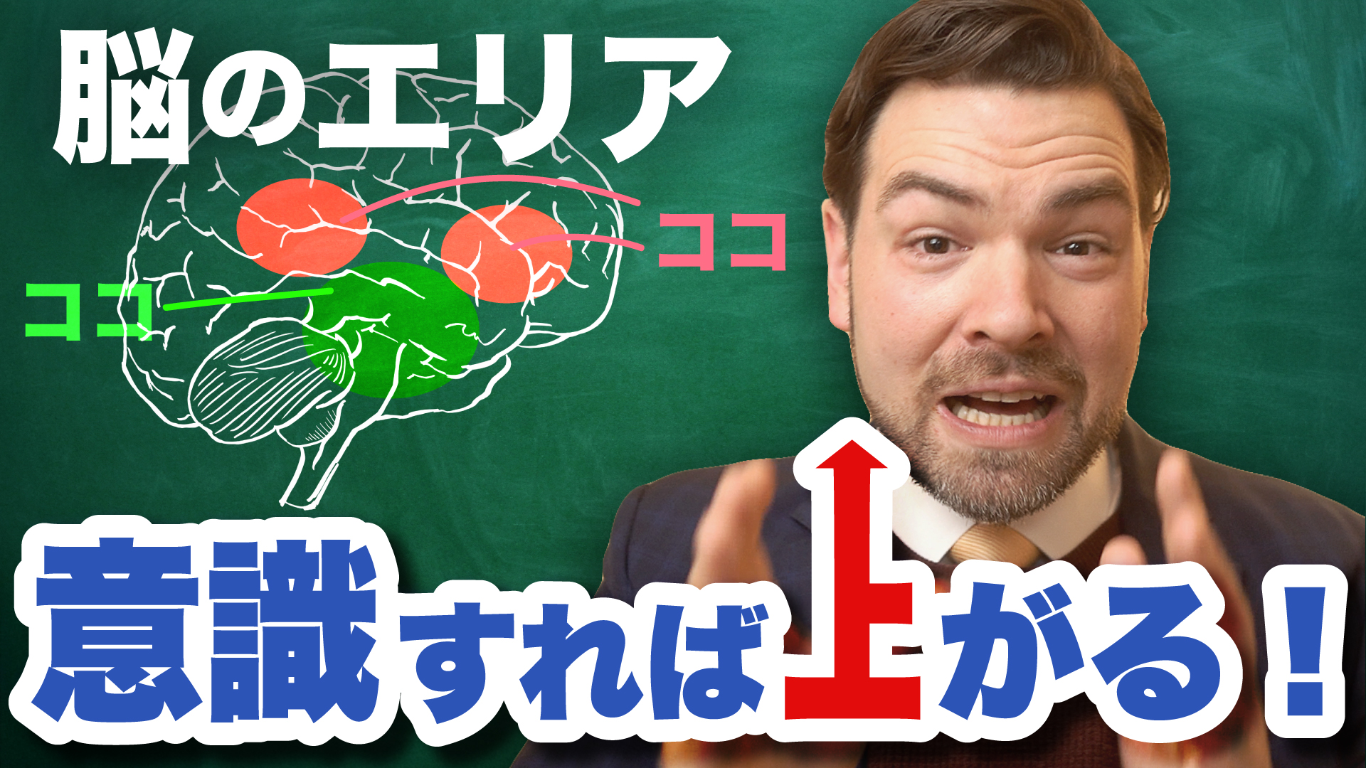 「情報のエリア」と「感覚のエリア」を意識したら英語スピーキング力がどんどん上がり始める！？ - IU-Connect